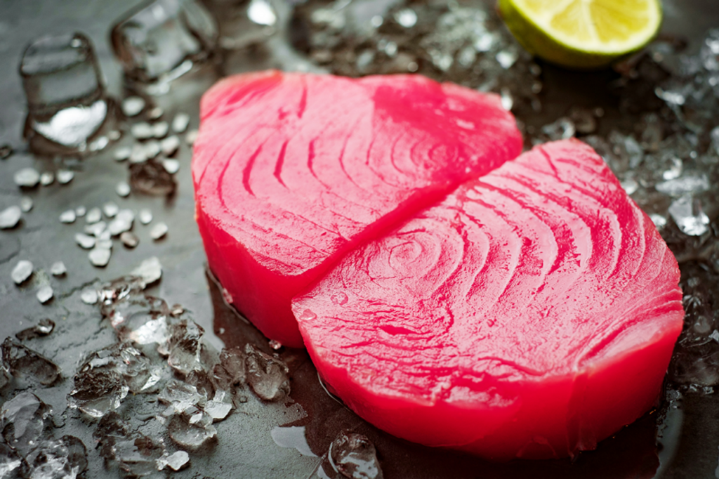 Fresh & Frozen Yellow fin Tuna – Sea2Ocean